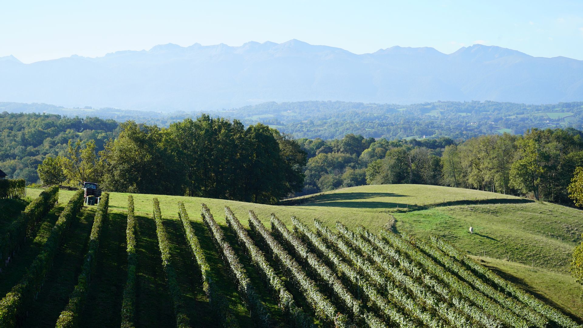 SLPA | Le spécialiste français du Profilage Acier